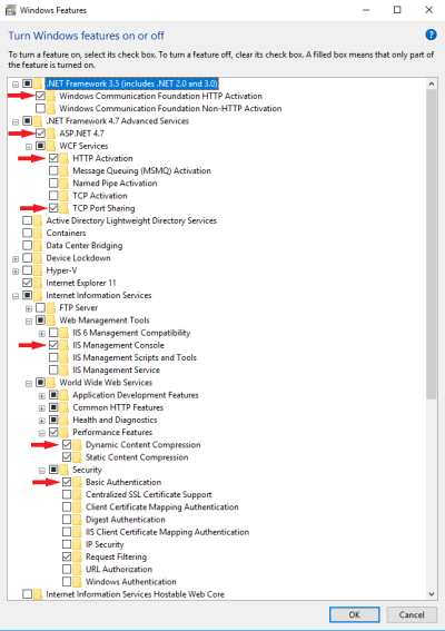 Install and Configure IIS